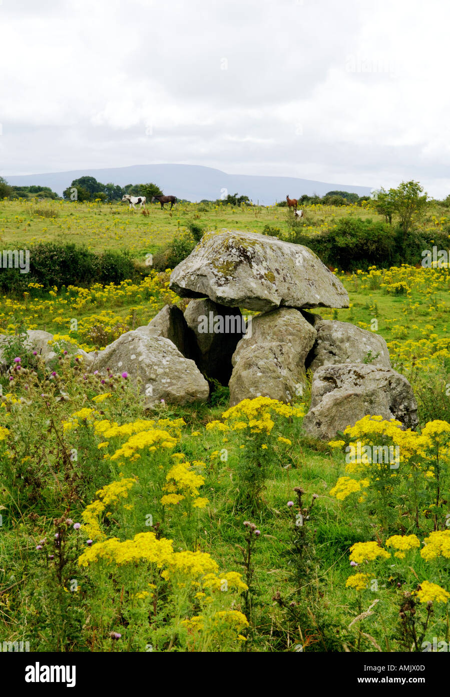 Carrowmore cemetery hi-res stock photography and images - Alamy