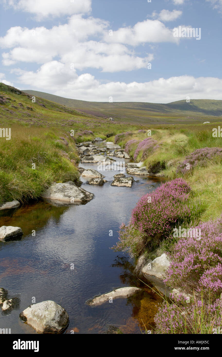 Laragh wicklow hi-res stock photography and images - Alamy