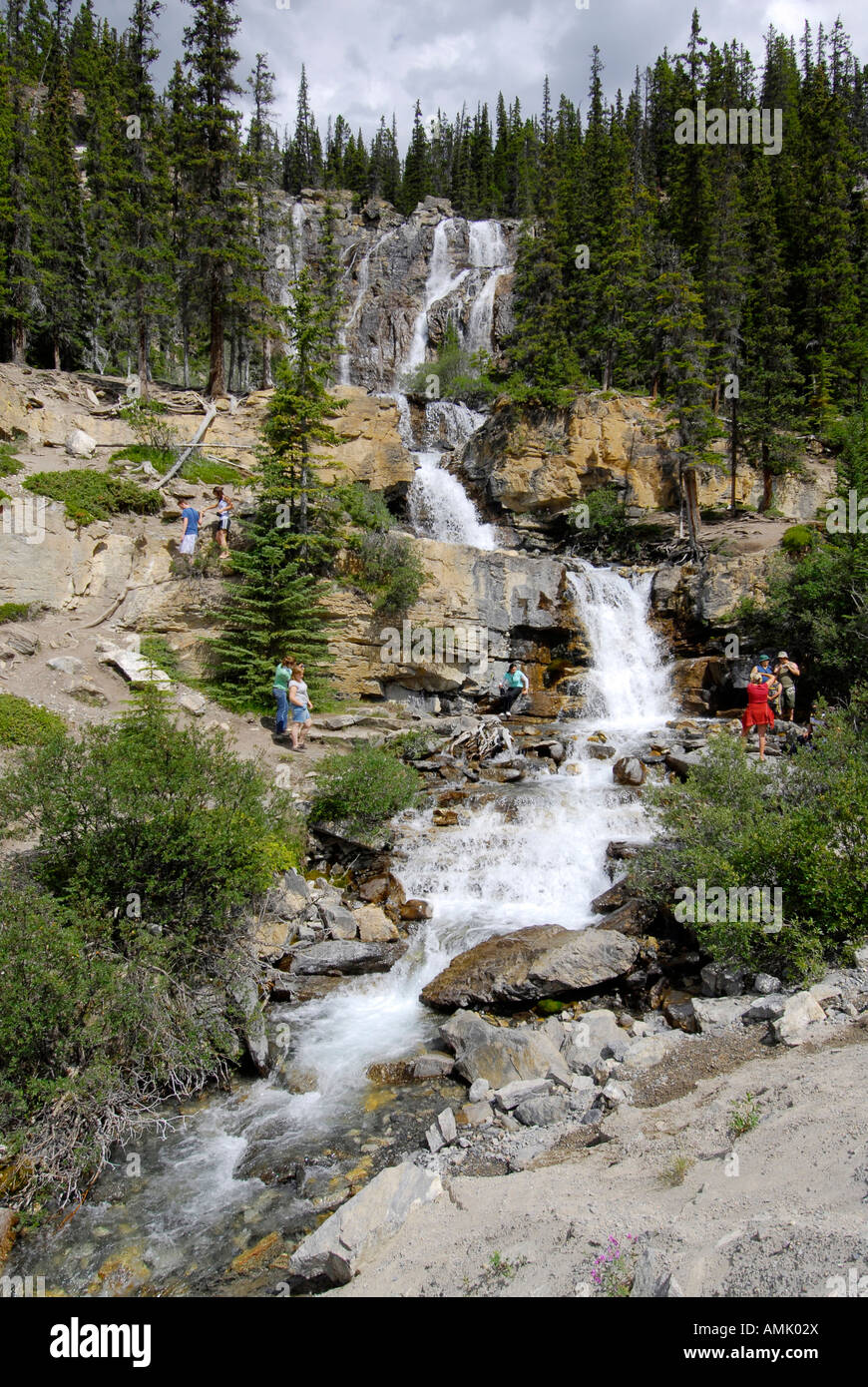Tangle Falls Along Icefields Parkway Banff National Park Alberta Canada ...