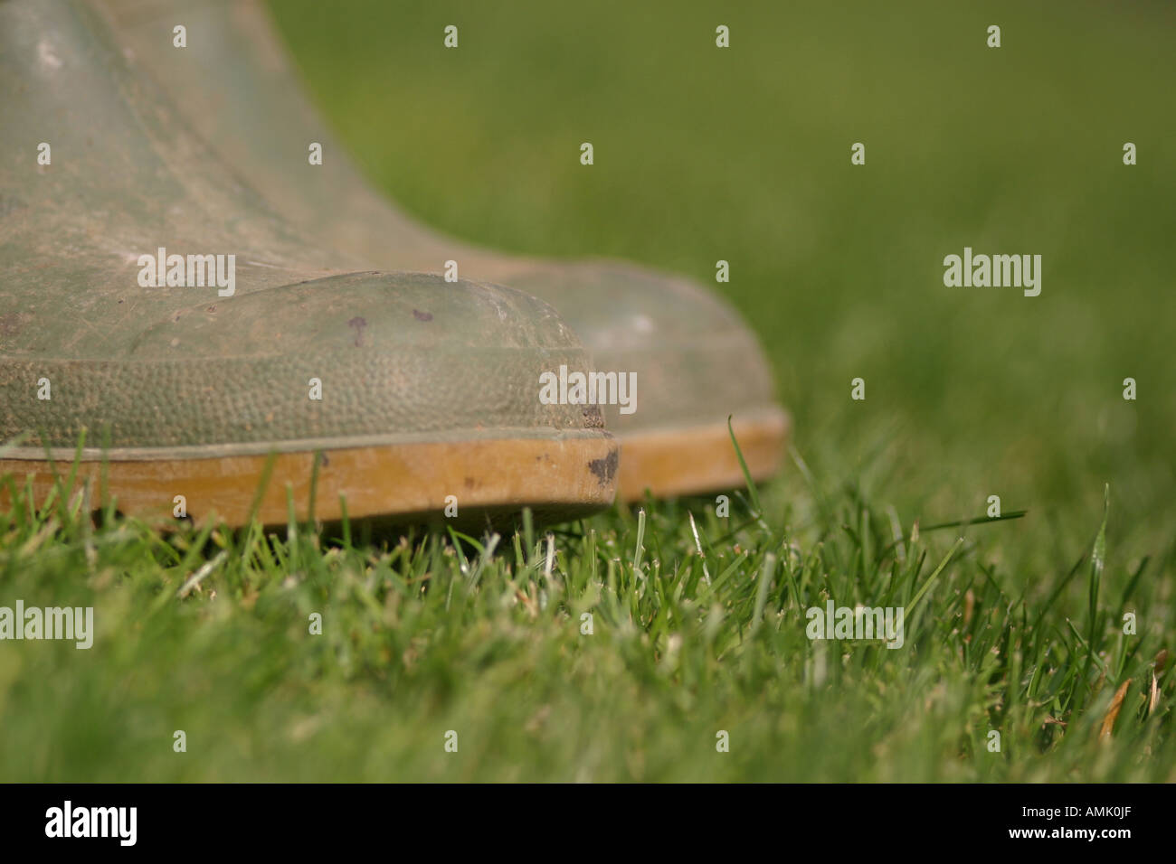 a stock photograph of wellington boots Stock Photo - Alamy