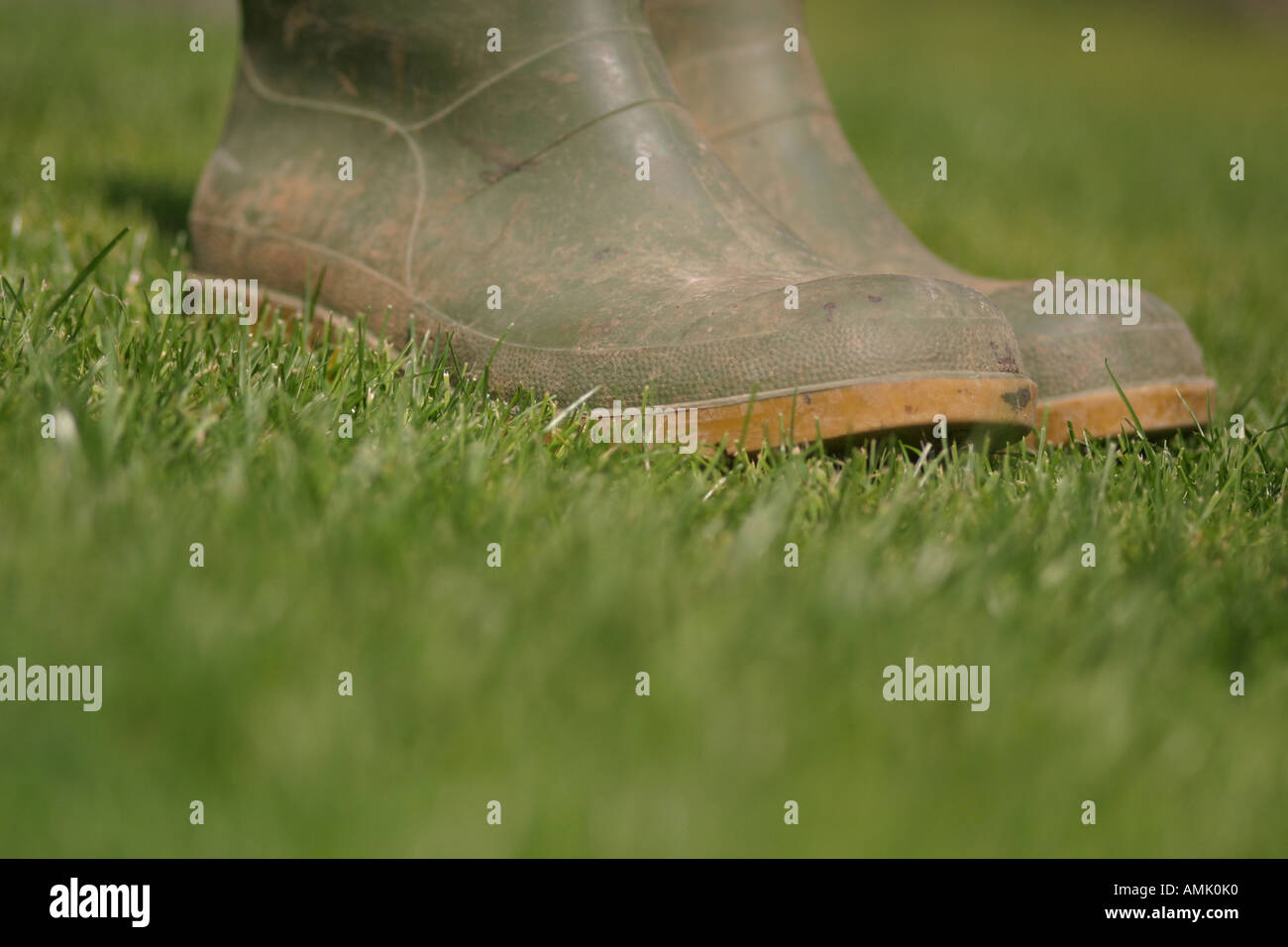 a stock photograph of wellington boots Stock Photo - Alamy