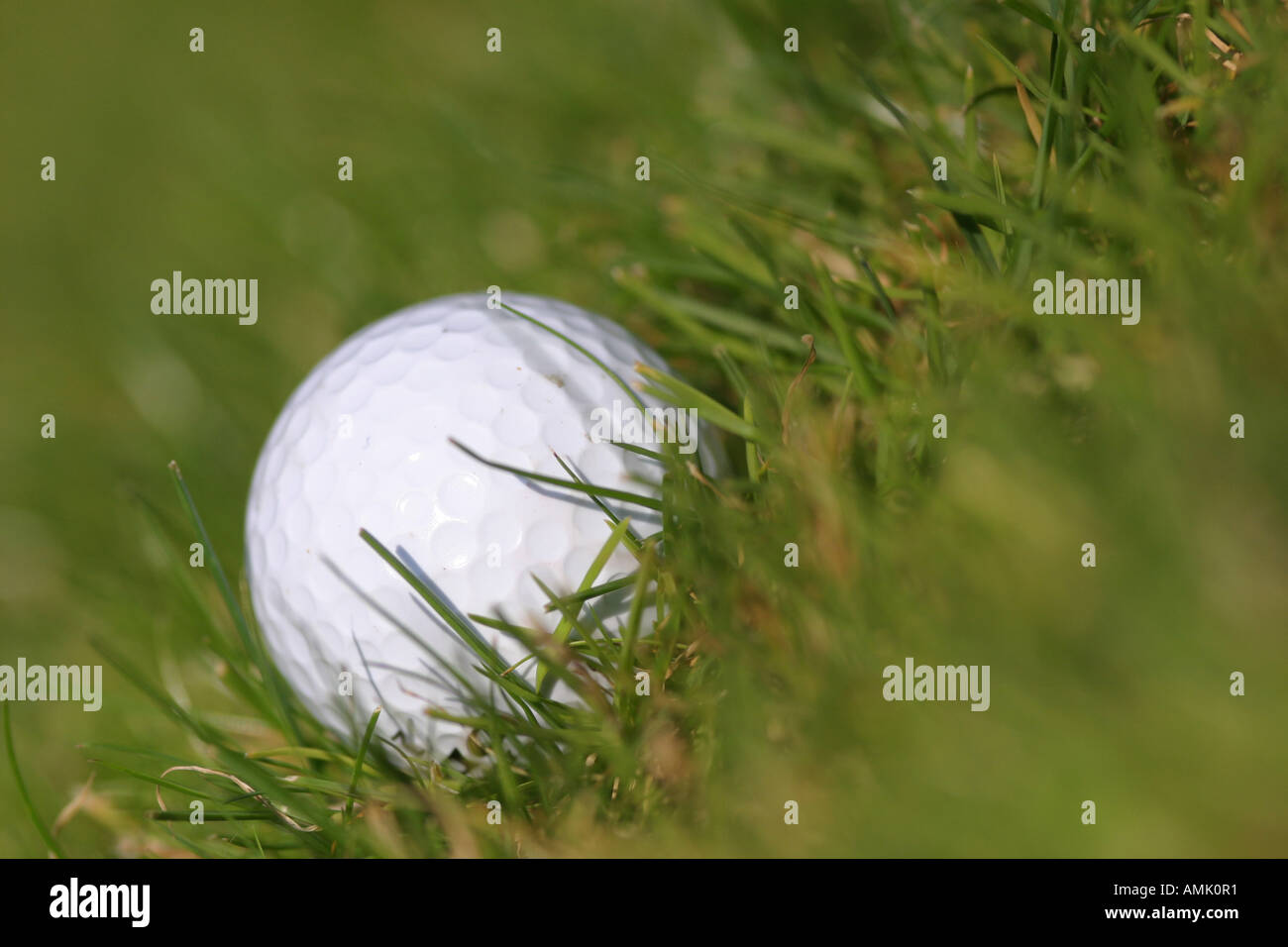 a stock photograph of a golf ball close up Stock Photo - Alamy
