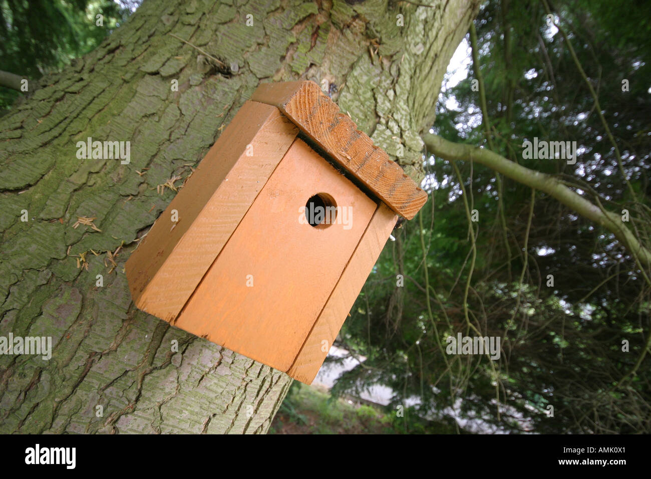 A stock photograph of a brid box in a garden in the uk Stock Photo - Alamy