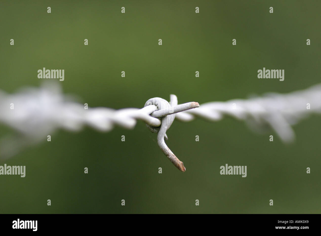 A stock photograph of barbed wire Stock Photo - Alamy