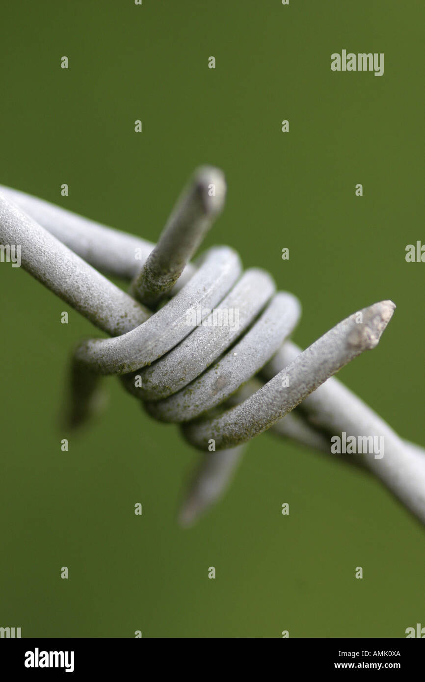 A stock photograph of barbed wire Stock Photo - Alamy