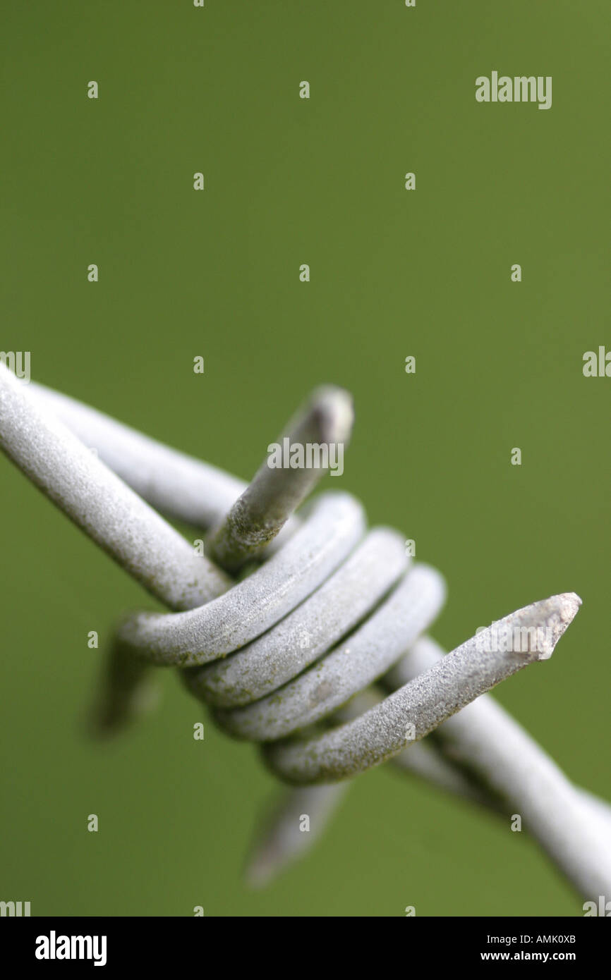 A stock photograph of barbed wire Stock Photo - Alamy