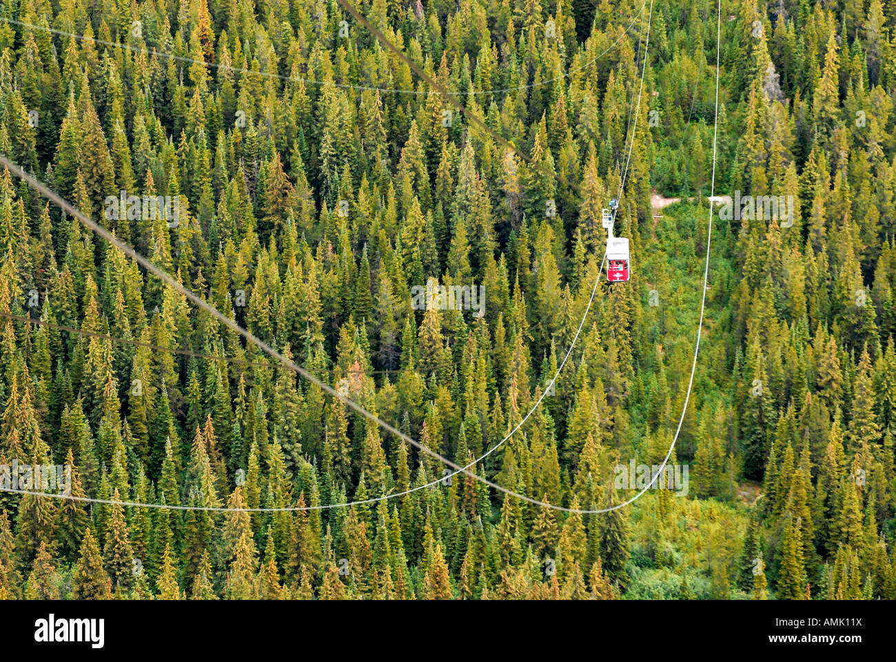 Jasper cable car hi-res stock photography and images - Alamy