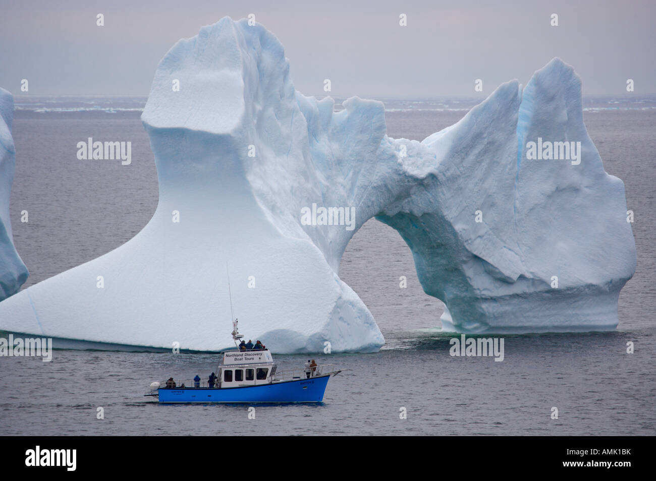 Iceberg, Northland Discovery Boat, Atlantic Ocean, Viking Trail ...