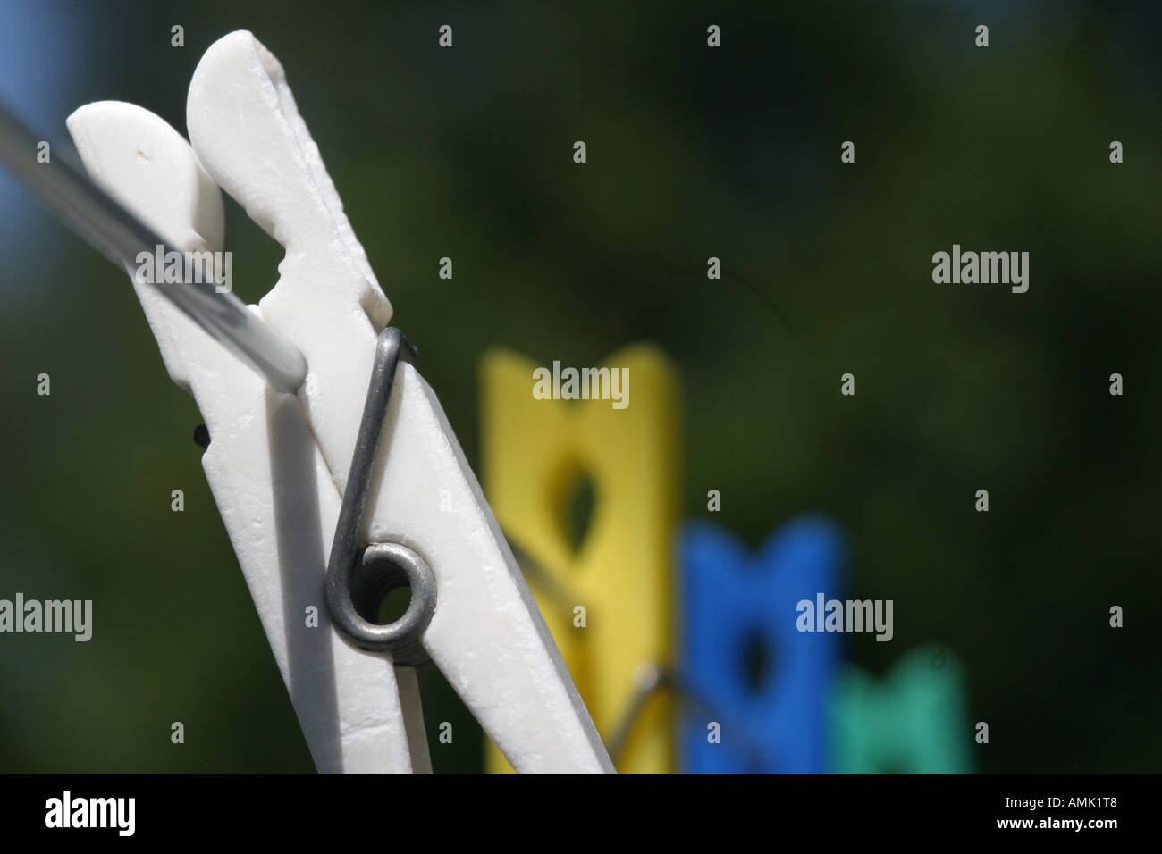 A stock photograph of a row of washing pegs Stock Photo - Alamy