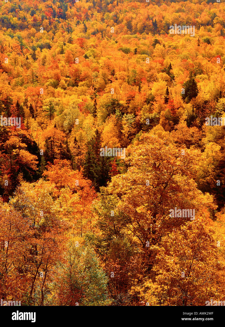 Autumn, Cape Breton Highlands National Park, Nova Scotia, Canada Stock ...