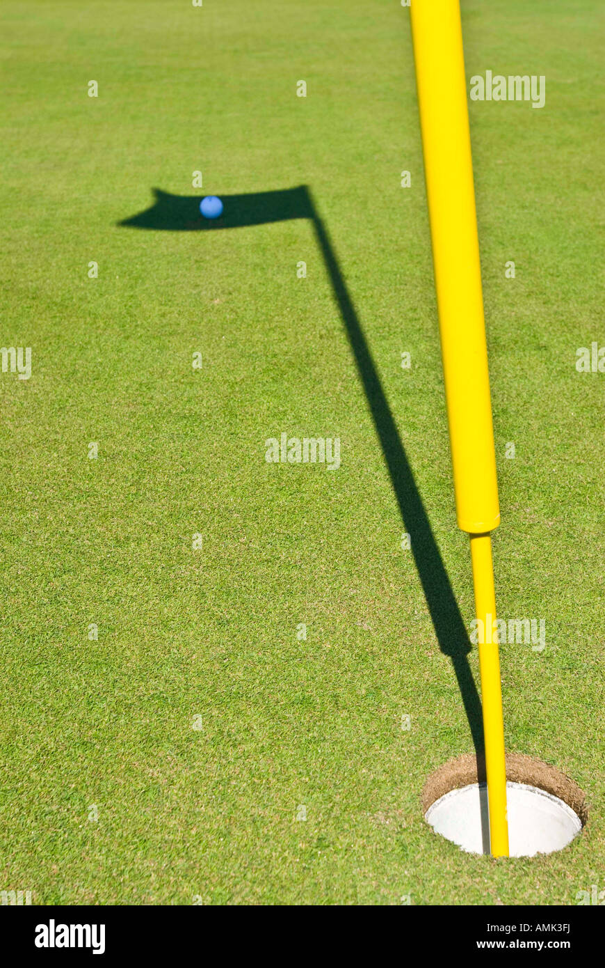 A golf ball on the green sitting in the shadow of the pin, flag Stock ...