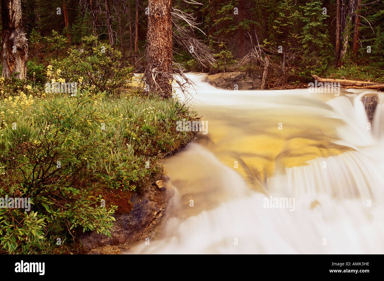 Nigel Creek, Banff National Park, Alberta, Canada Stock Photo - Alamy