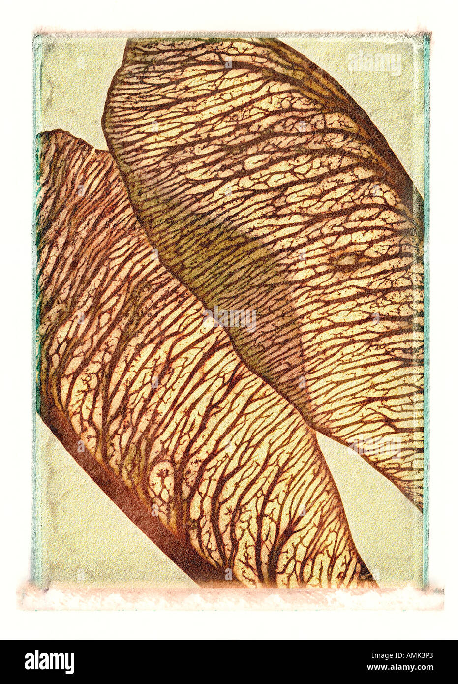 Cross keys close hi-res stock photography and images - Alamy