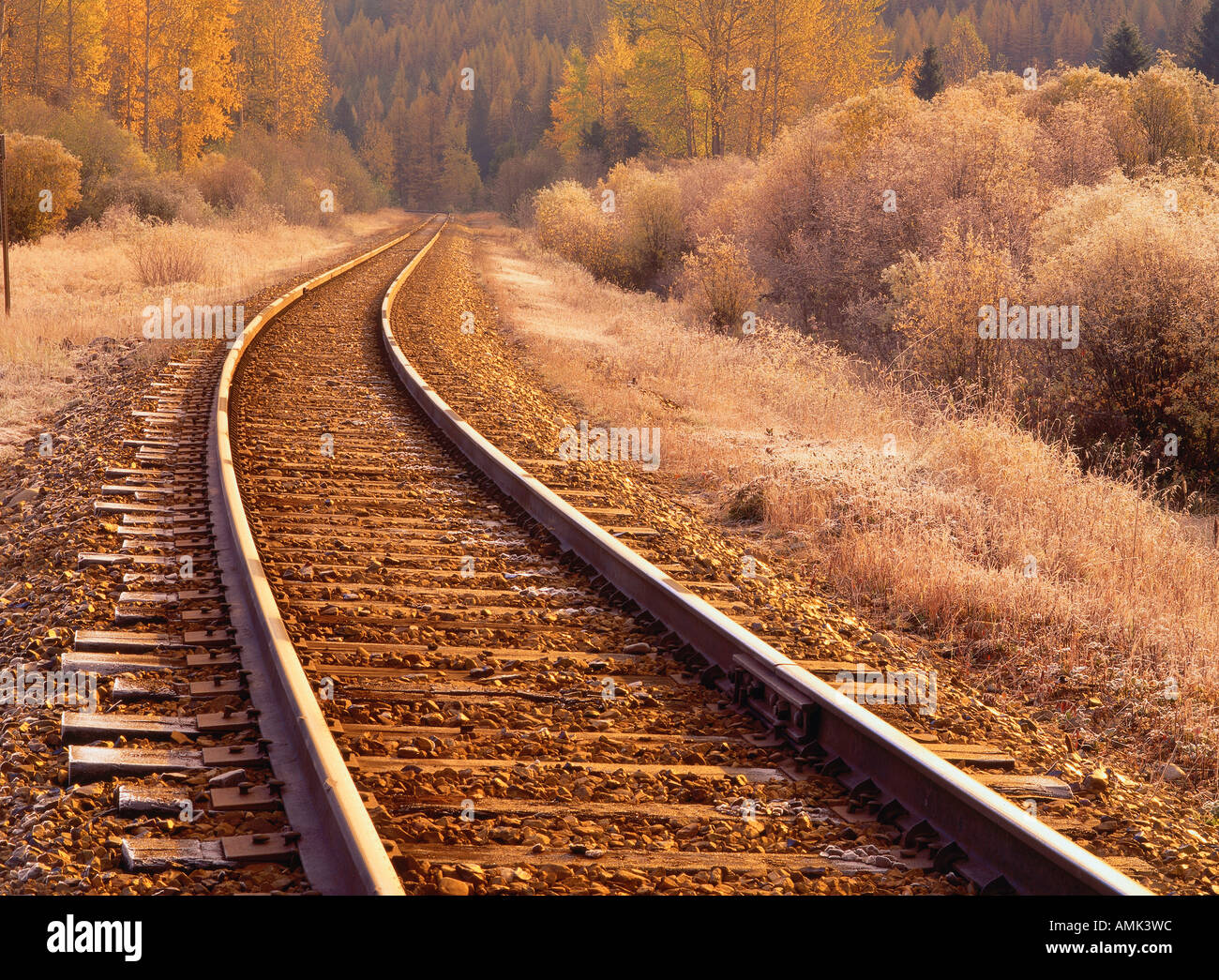 Train Track near Cranbrook British Columbia, Canada Stock Photo - Alamy