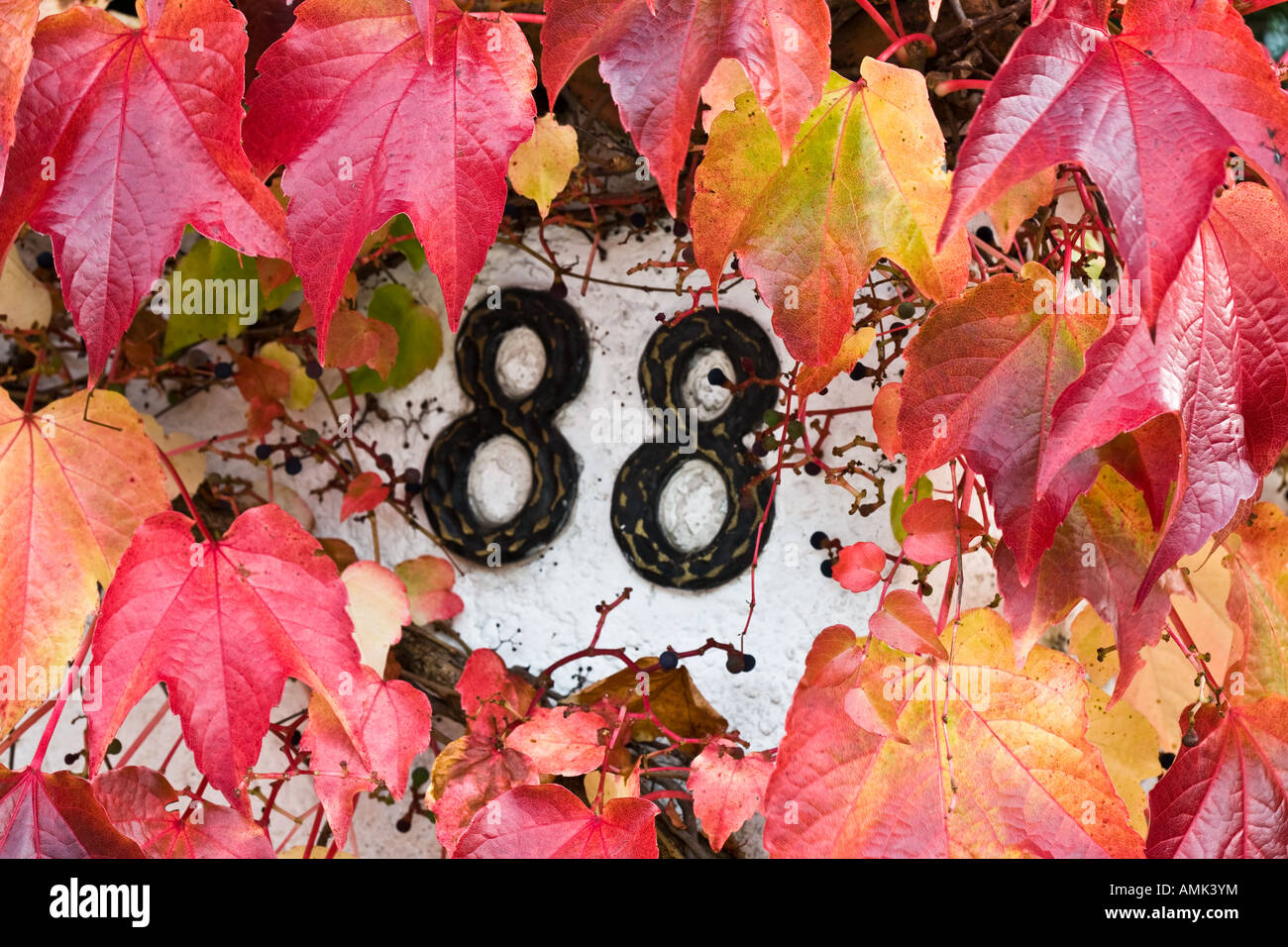 House number surrounded by autumn leaves Stock Photo - Alamy