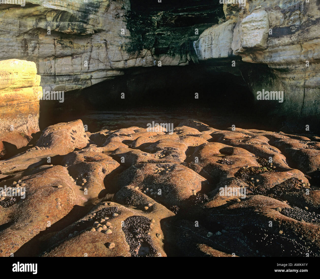 convoluted red rocks at the mouth of a sea cave at Cove bay, Hopeman ...