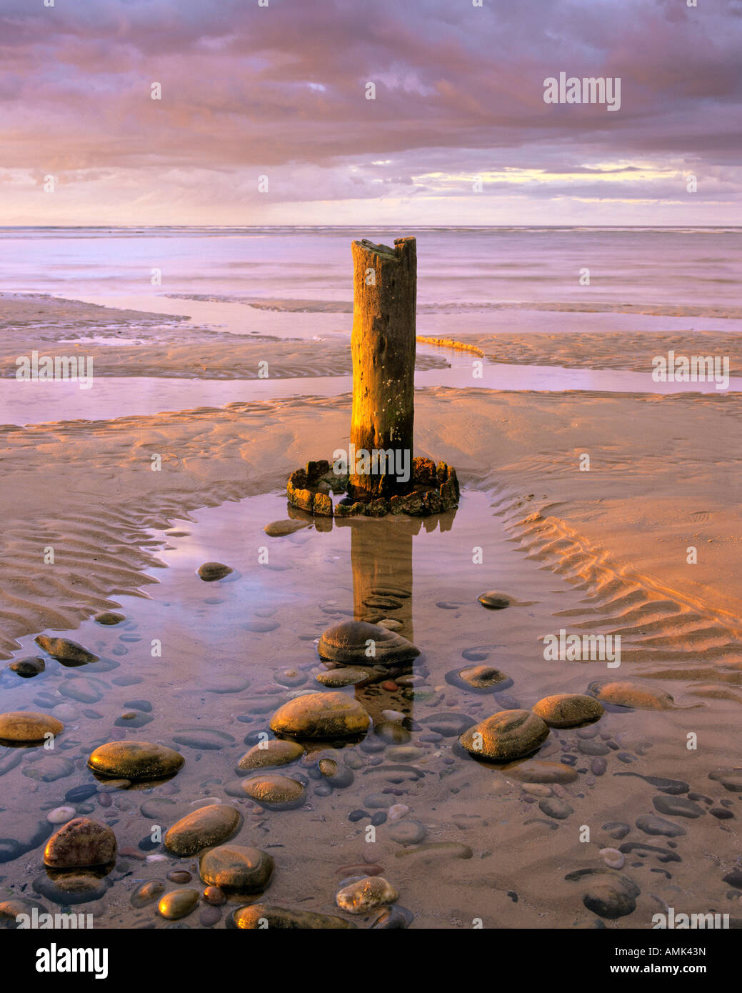 Weak sunlight hi-res stock photography and images - Alamy