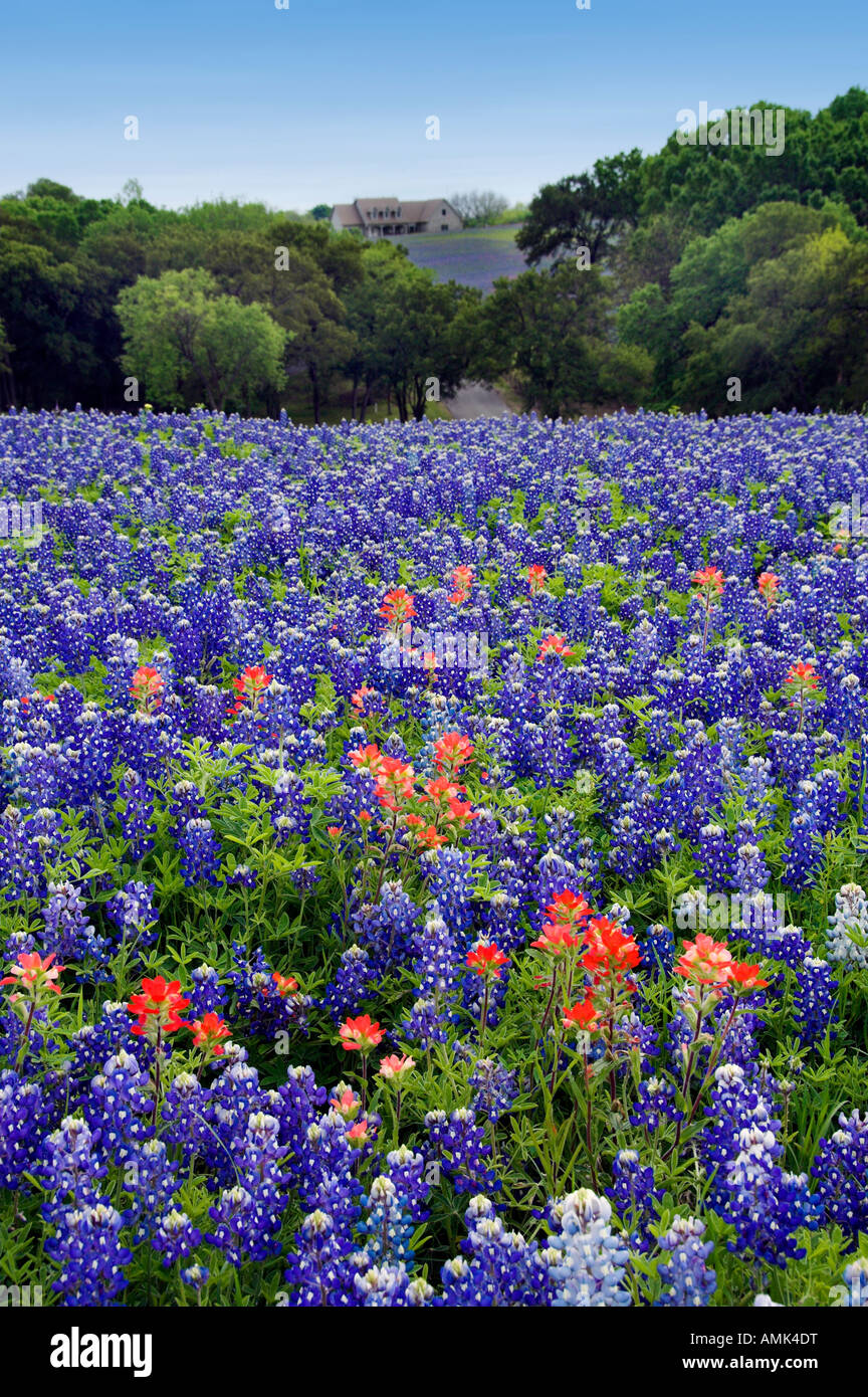 Texas field fire hi-res stock photography and images - Alamy