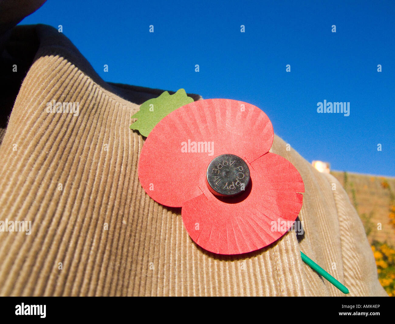 Rememberance Day poppy Stock Photo - Alamy