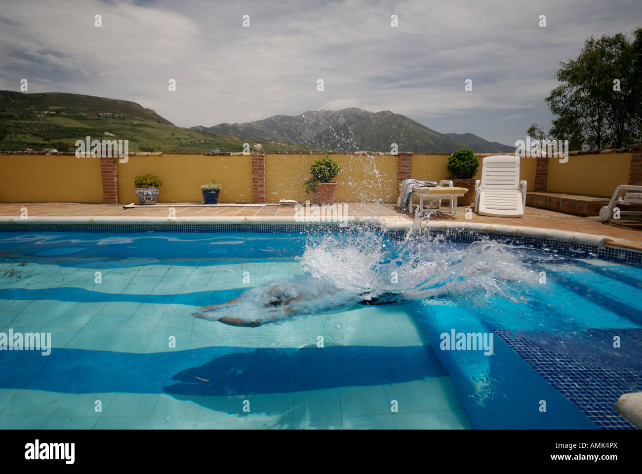 man diving into swimming pool Stock Photo - Alamy