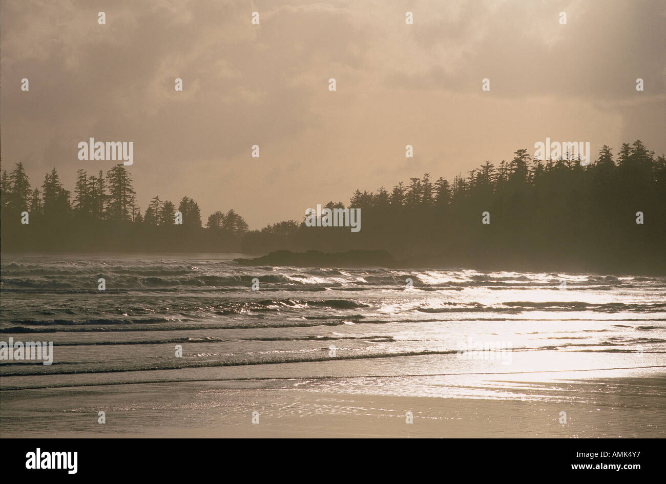 Long Beach, Pacific Rim Nat. Park, Vancouver Island, B.C. Canada Stock ...