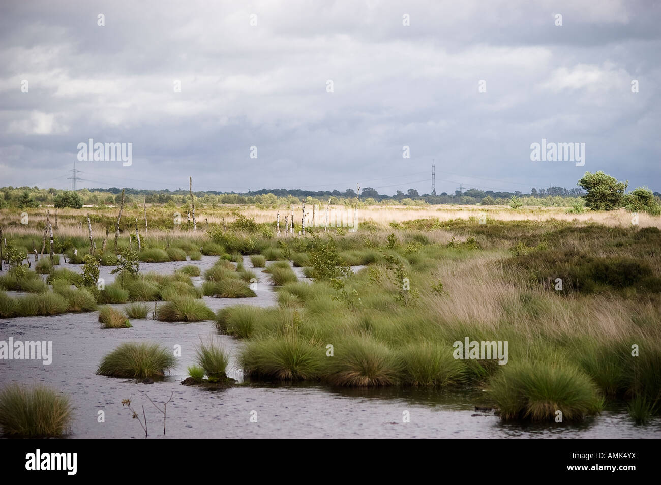Geest moor hi-res stock photography and images - Alamy