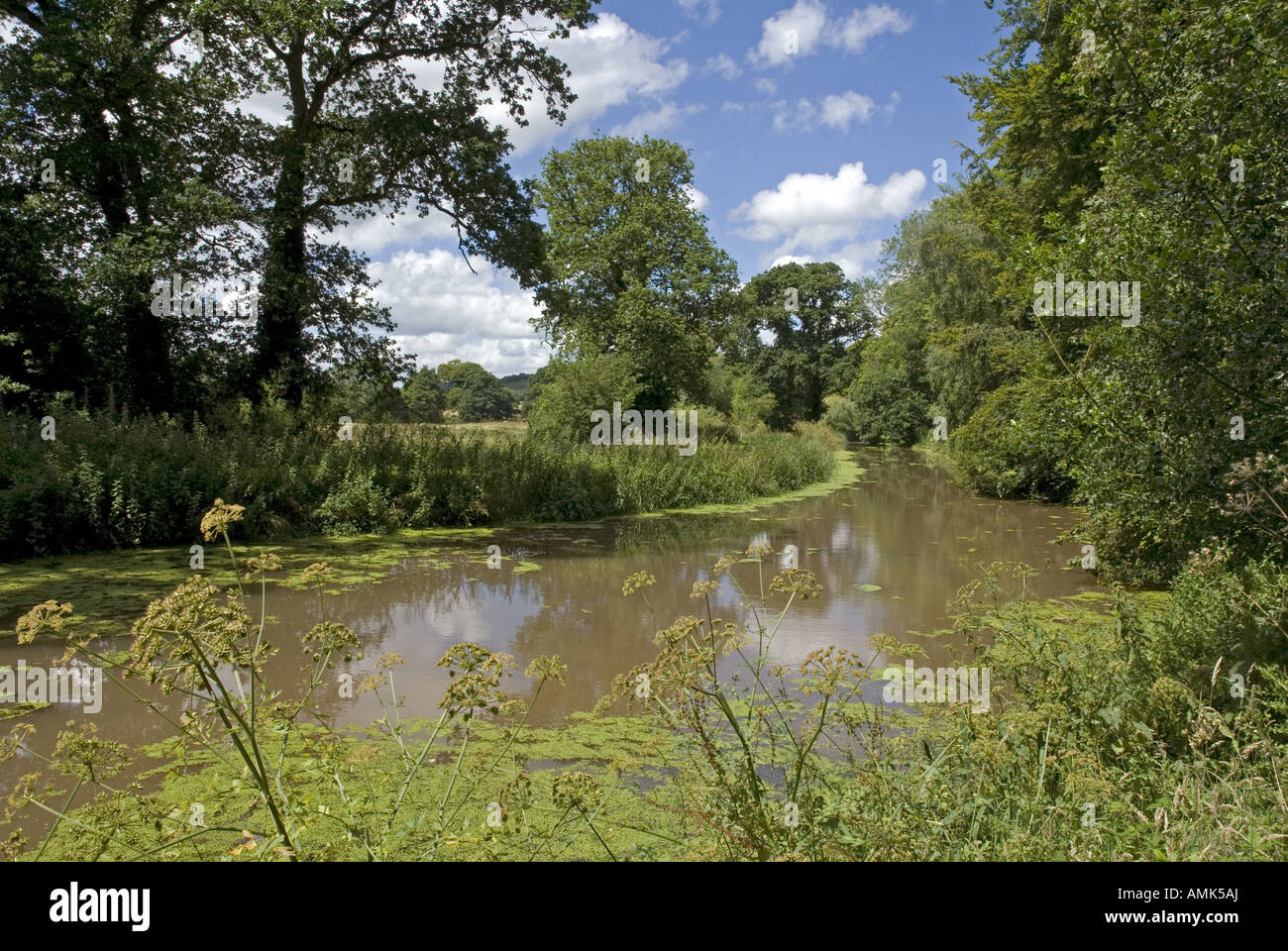 Stream running through the Secret Garden at Powderham Castle, historic ...