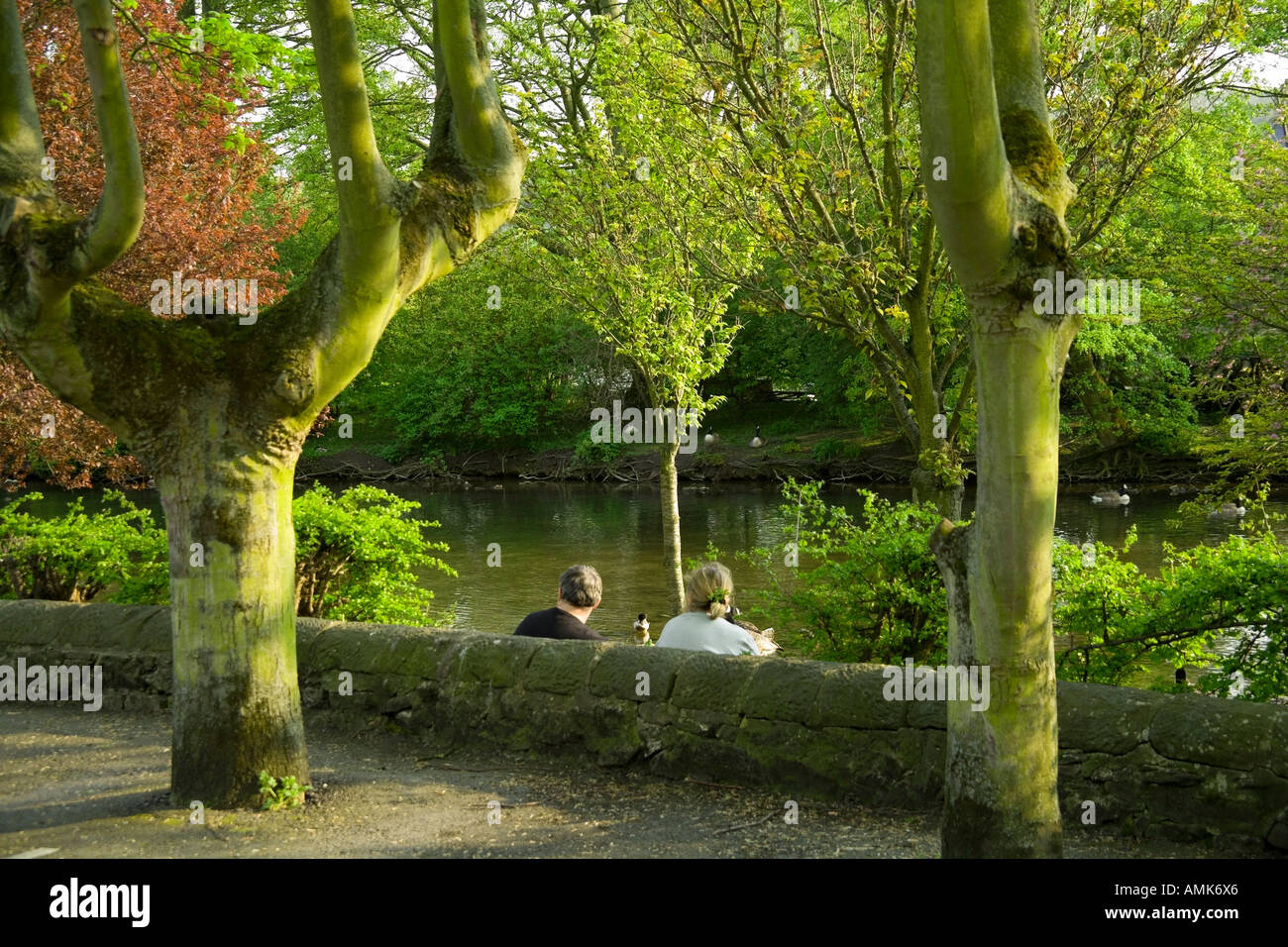 england derbyshire peak district national park bakewell Stock Photo - Alamy