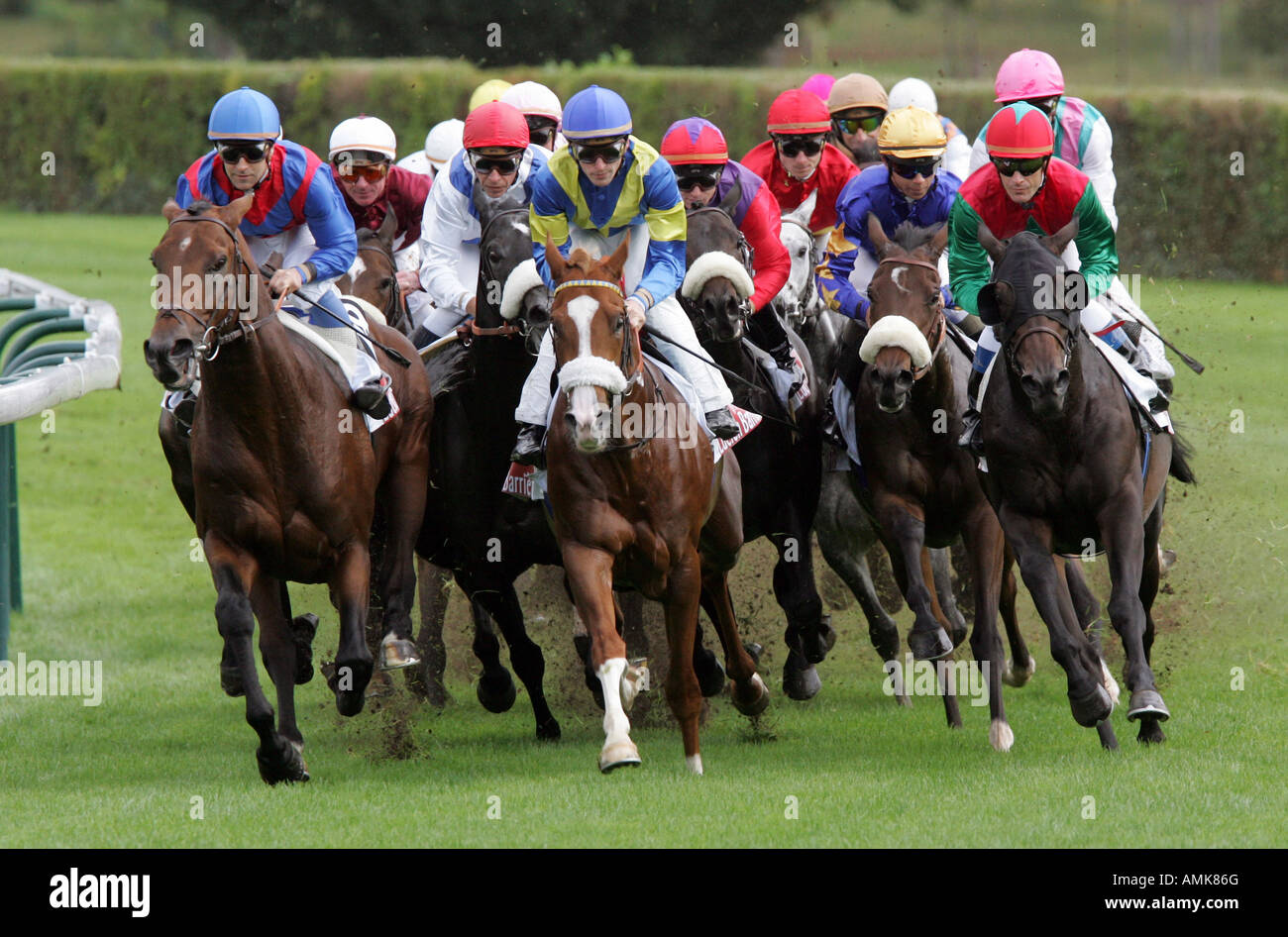 Horses racing at Longchamp in Paris, France Stock Photo - Alamy