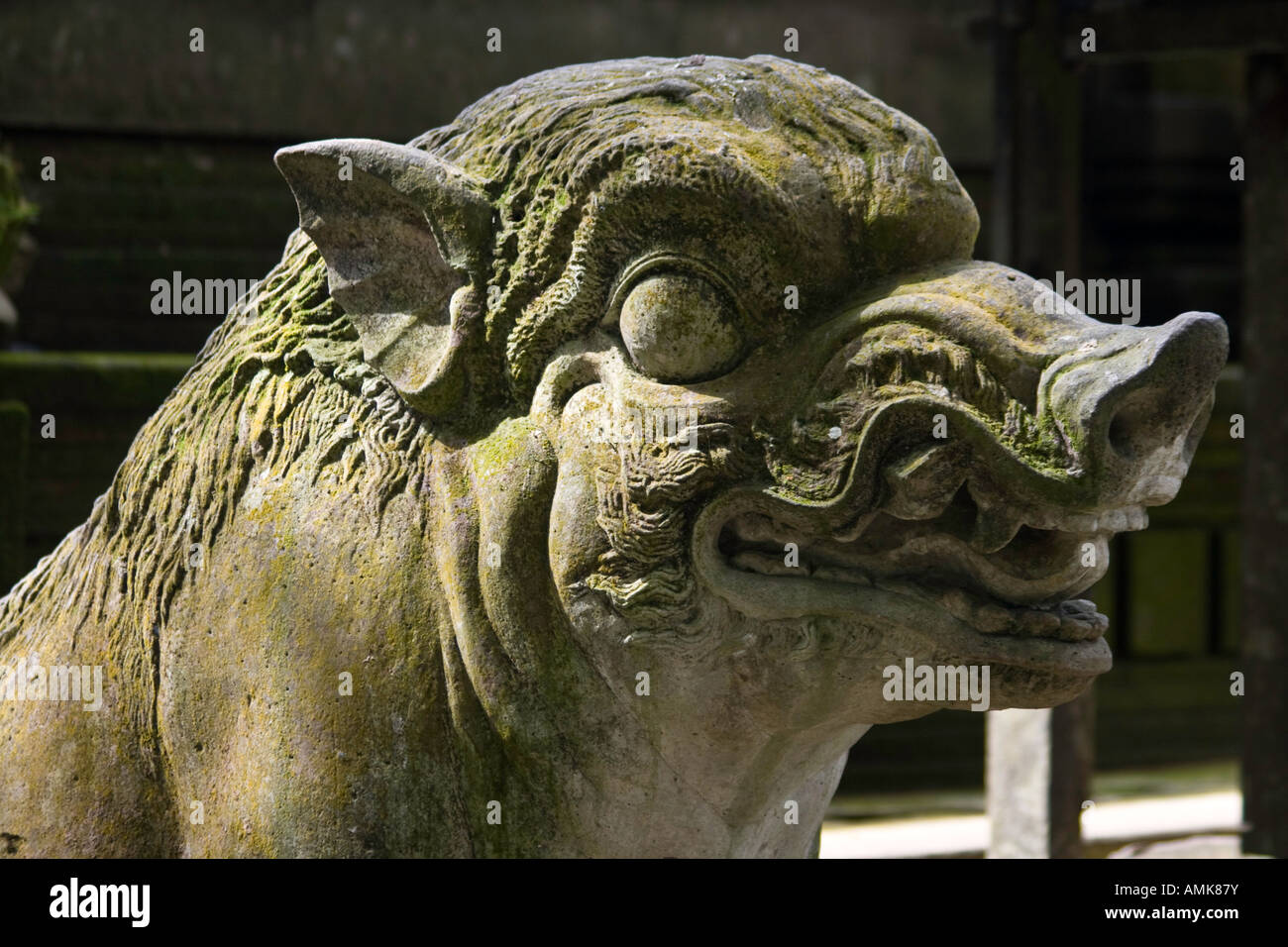 Boar carving hi-res stock photography and images - Alamy