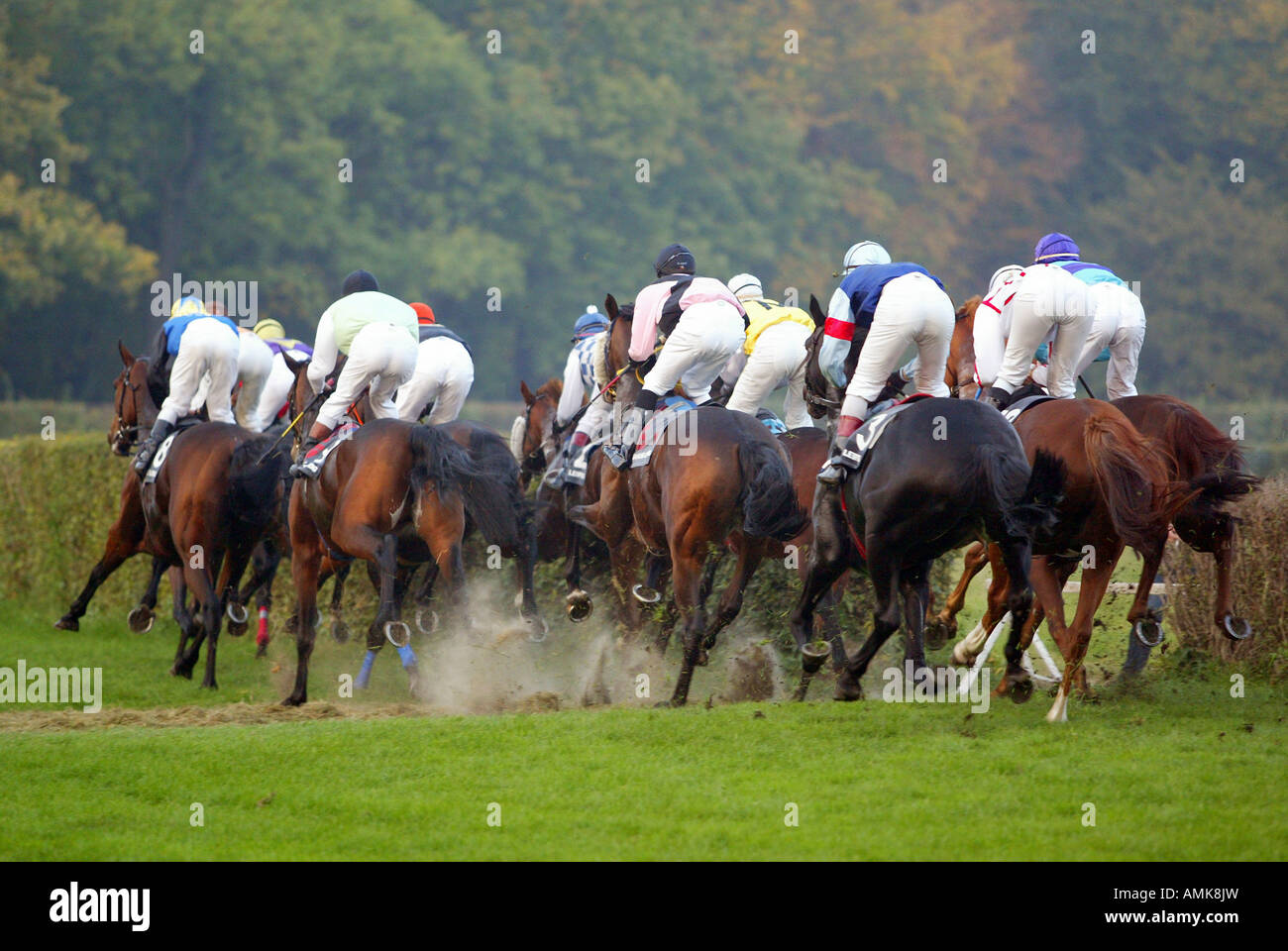 A horse race, Leipzig, Germany Stock Photo - Alamy