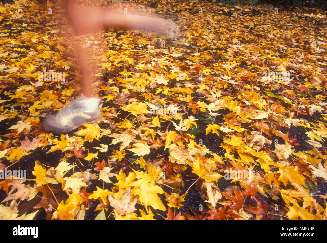 Woman running on dirt track, close-up of feet blurry motion Stock Photo ...
