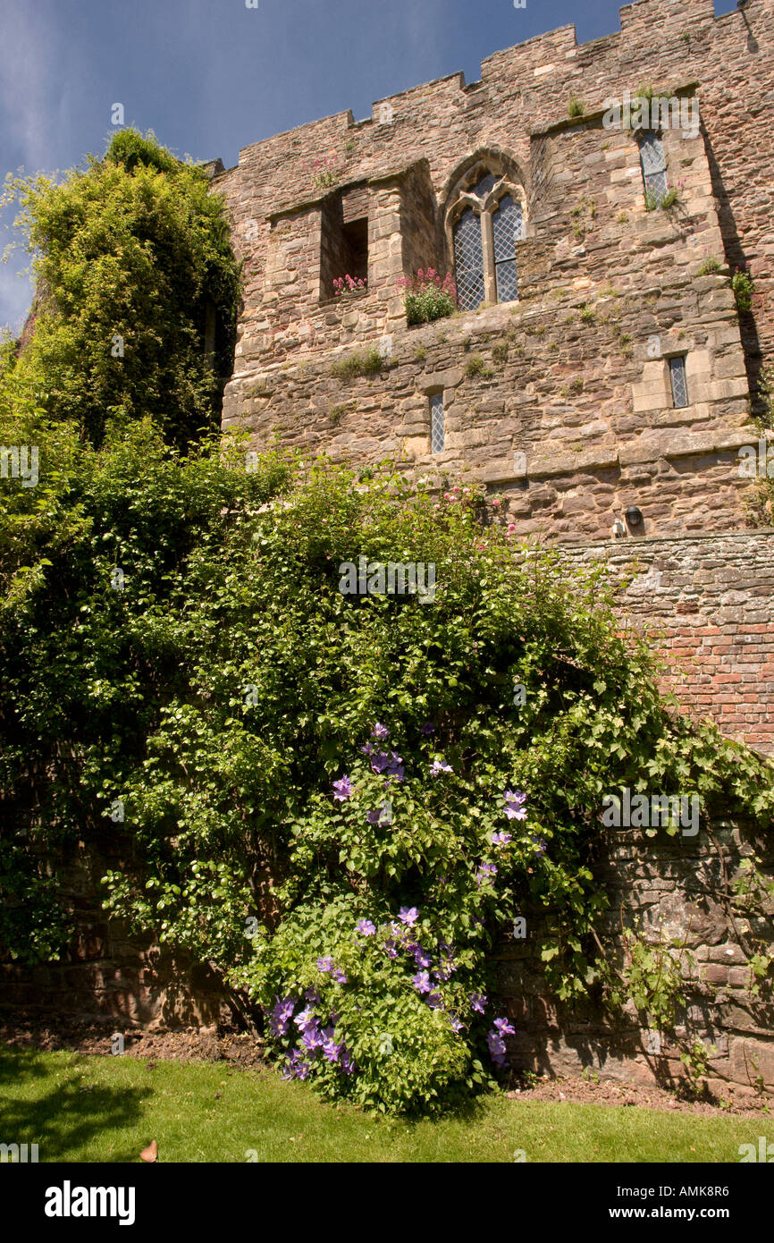 Lord henry berkeley hi-res stock photography and images - Alamy