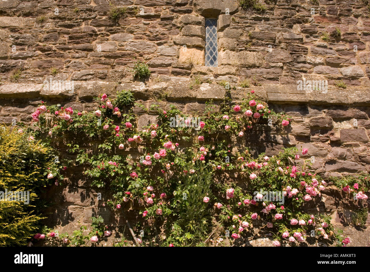 berkeley castle gloucestershire norman castle completed in 1153 by lord ...