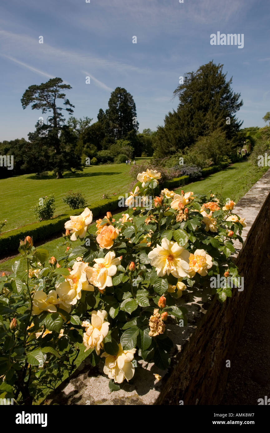 Maurice de berkeley hi-res stock photography and images - Alamy