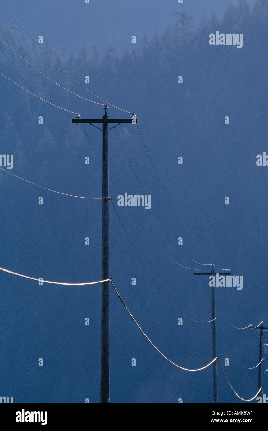 Power and Telephone Lines Stock Photo - Alamy