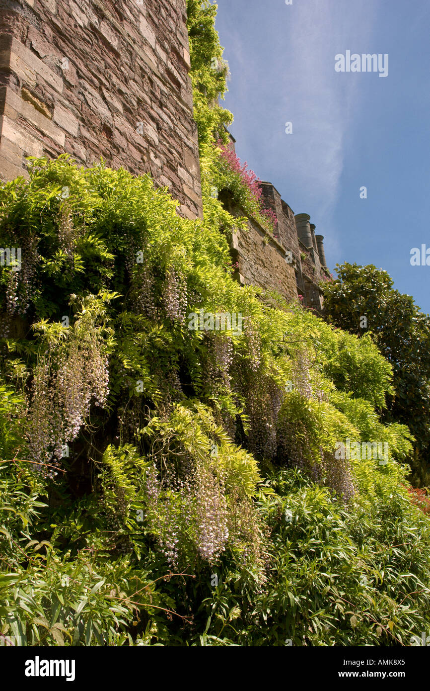 Maurice de berkeley hi-res stock photography and images - Alamy