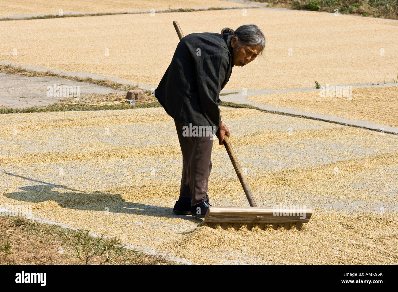 Agriculture china chinese drying hi-res stock photography and images ...