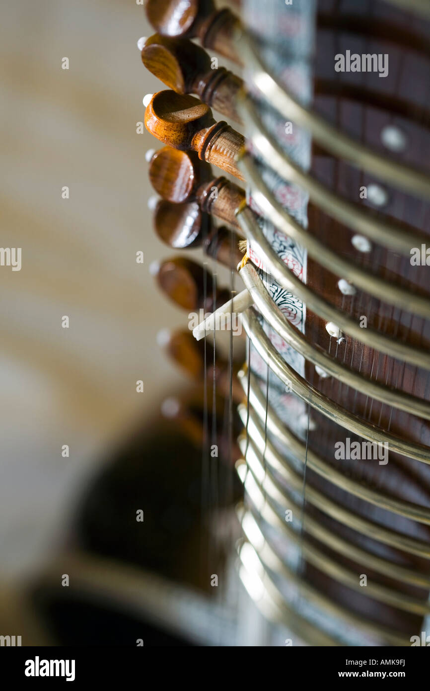 Indian Sitar neck and strings Stock Photo - Alamy