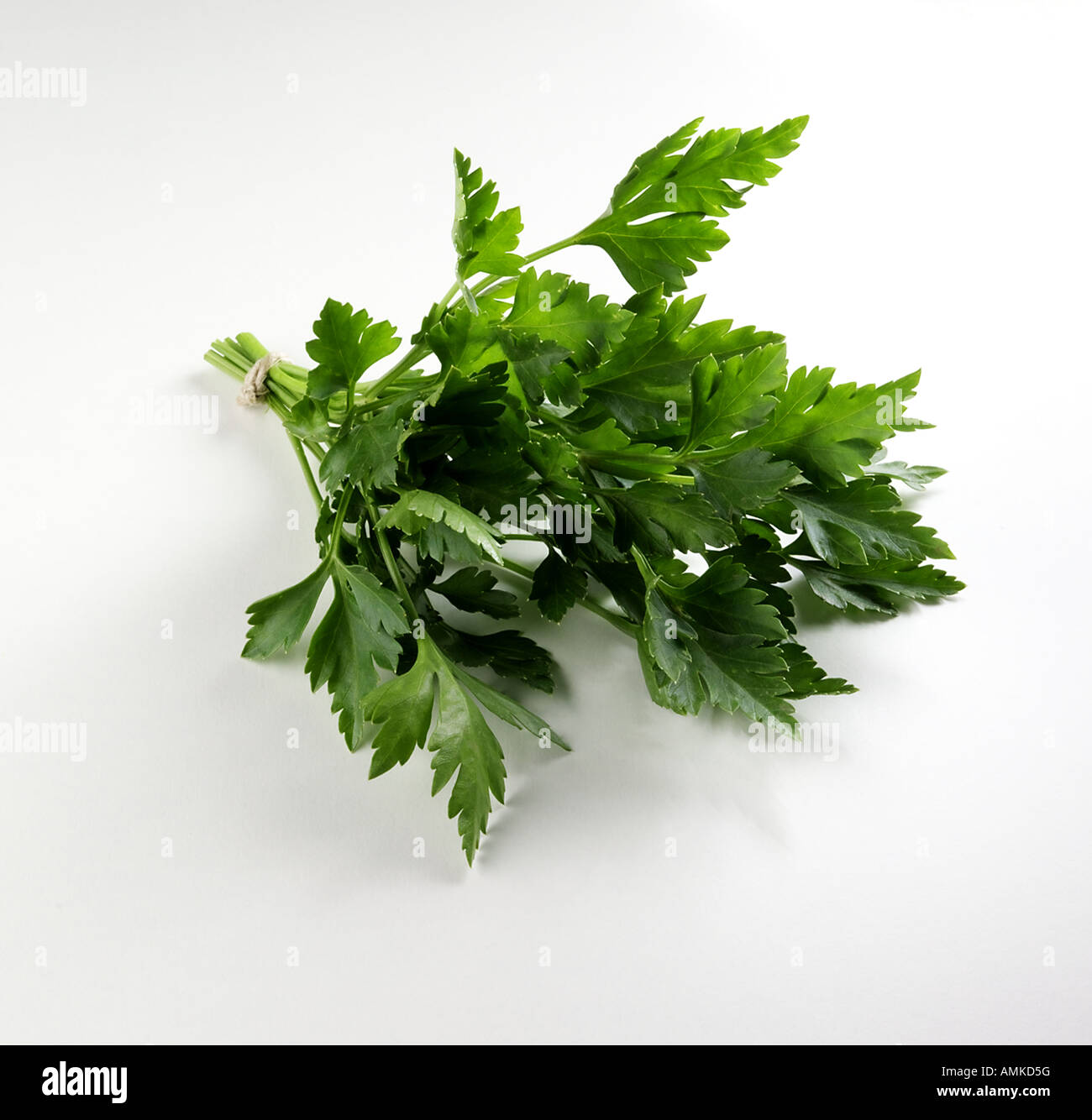 Cut parsley plant hi-res stock photography and images - Alamy