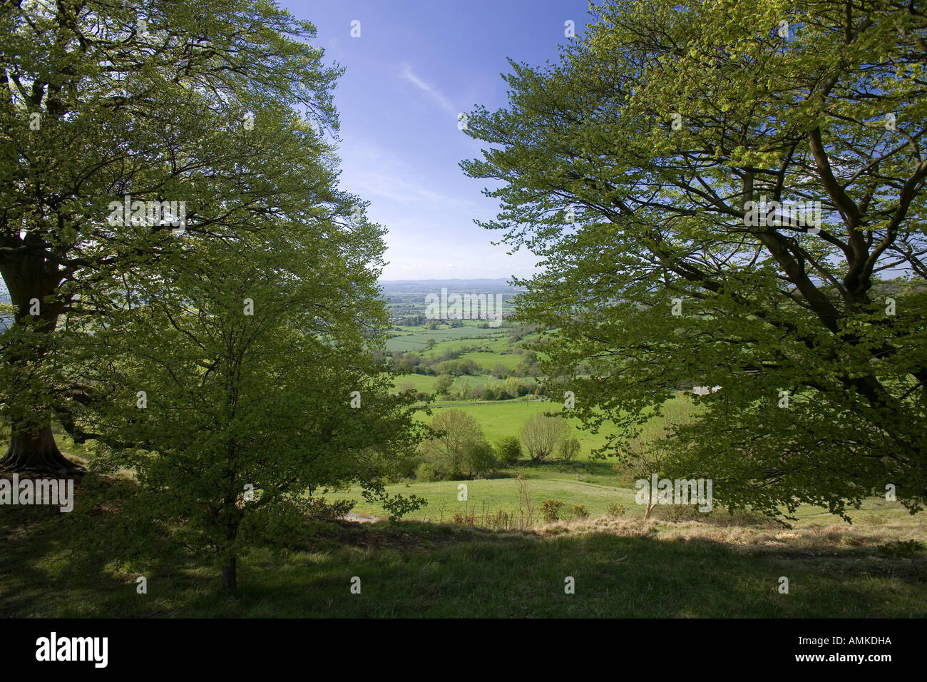 Views from Crickley Hill Country park near Gloucester and Cheltenham ...