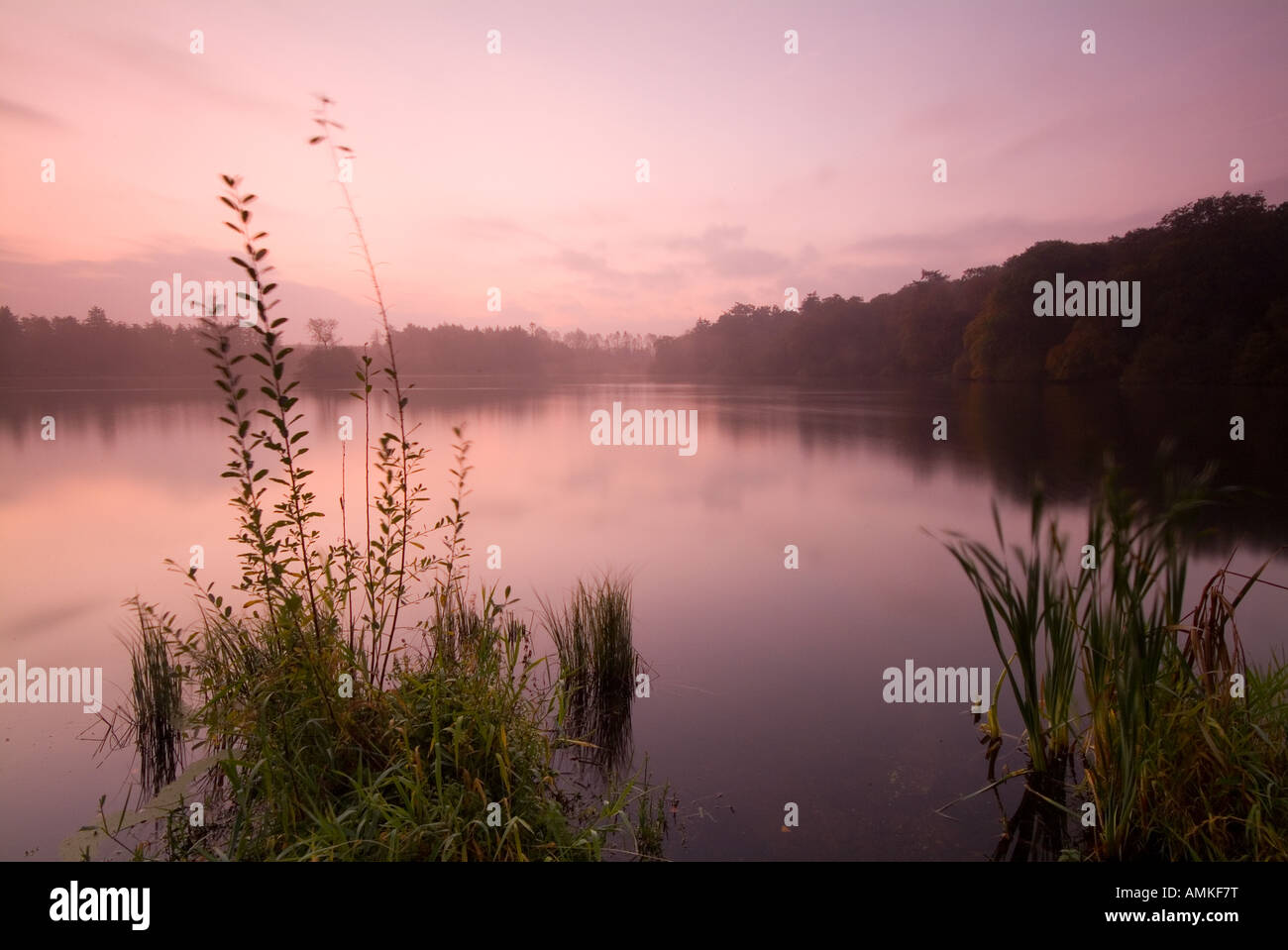 Landscape image of Hillsborough Lake at Dawn County Down Northern ...