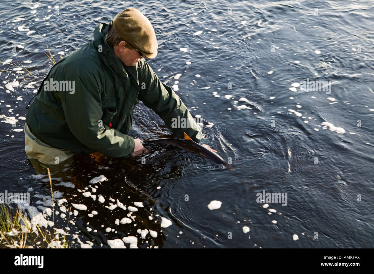 Return of salmon fishing hi-res stock photography and images - Alamy