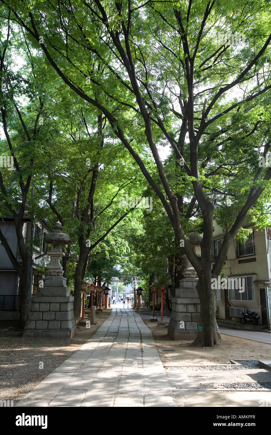 Trees in Akagi Shrine, Tokyo, Japan Stock Photo - Alamy