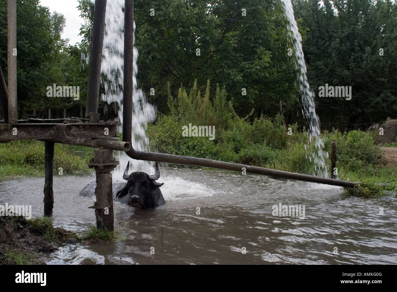 Yevlax hi-res stock photography and images - Alamy