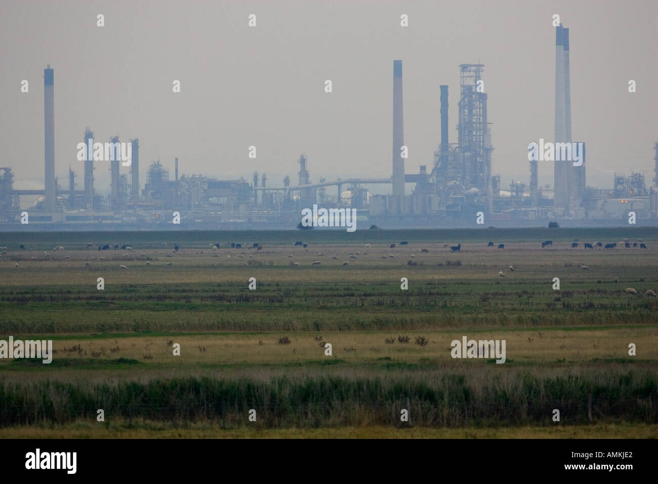 BP Oil Refinery at Coryton North Kent United Kingdom Stock Photo - Alamy