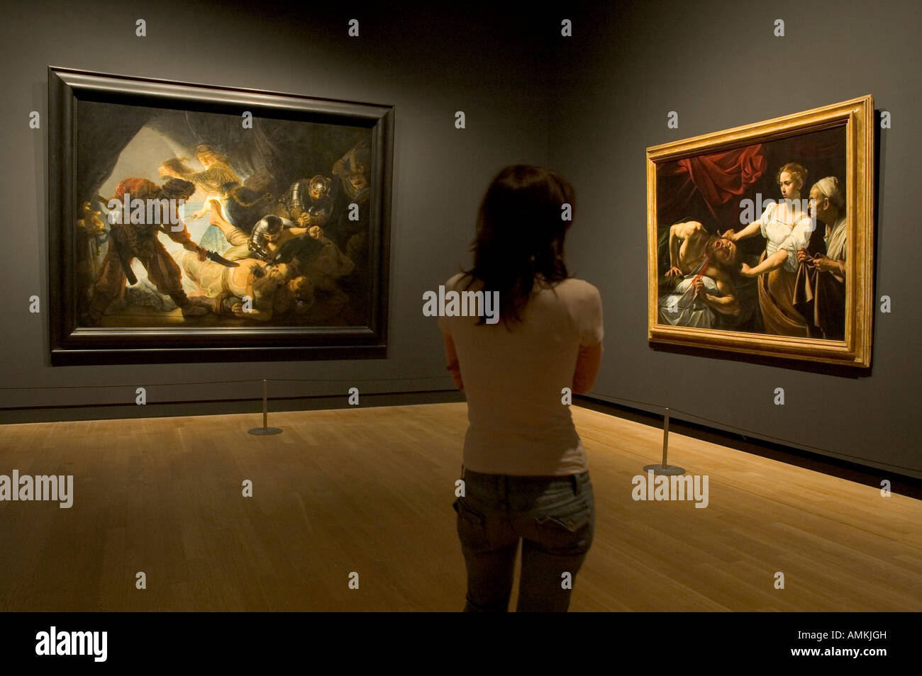 NETHERLANDS Noord Holland Amsterdam The Blinding of Samson by Rembrandt ...