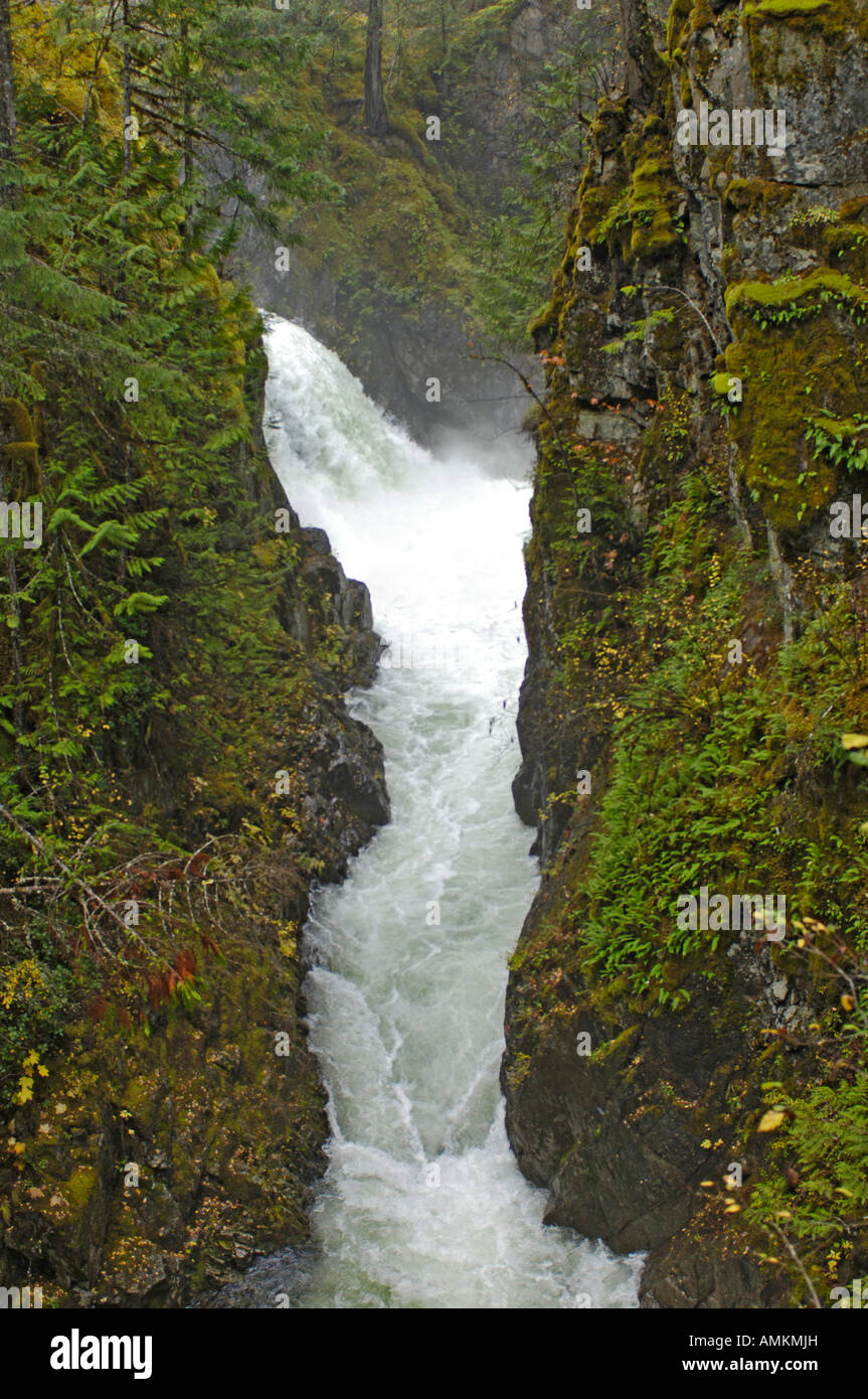 Little Qualicum River Falls Provincial Park Stock Photo - Alamy