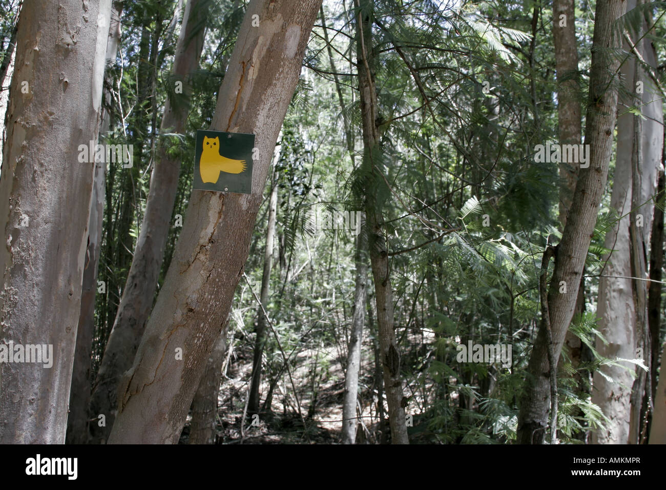 Sign with owl hi-res stock photography and images - Alamy