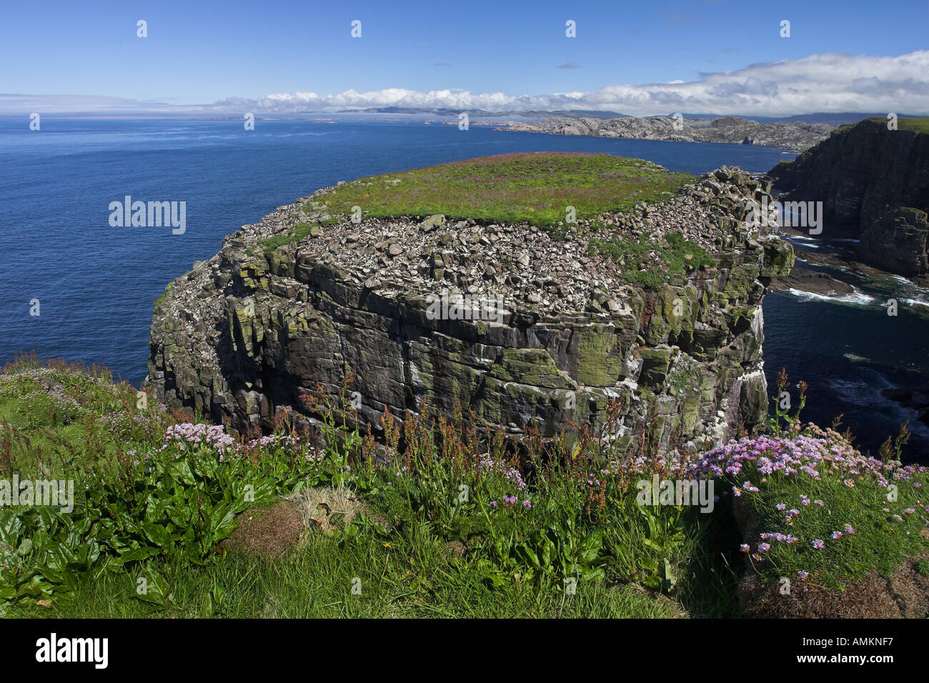 Cliffs on Handa island Sutherland Scotland. Northwest Scottish ...